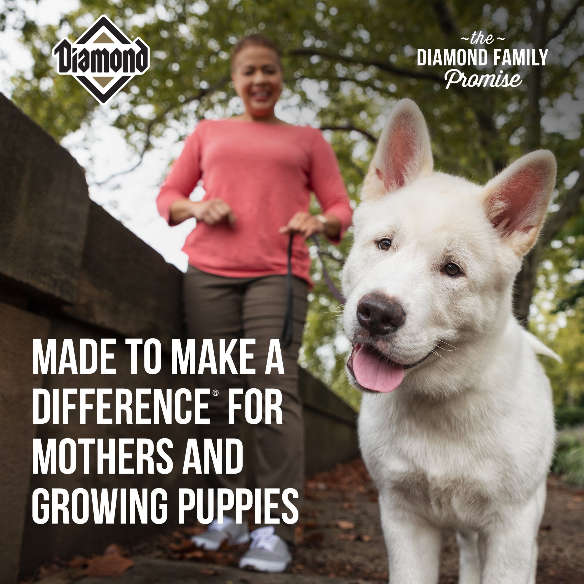 Puppy Formula | Diamond Pet Foods