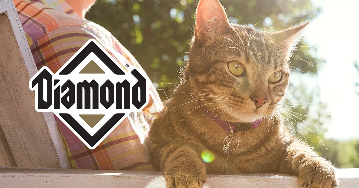 Diamond Cat Foods | Diamond Pet Foods